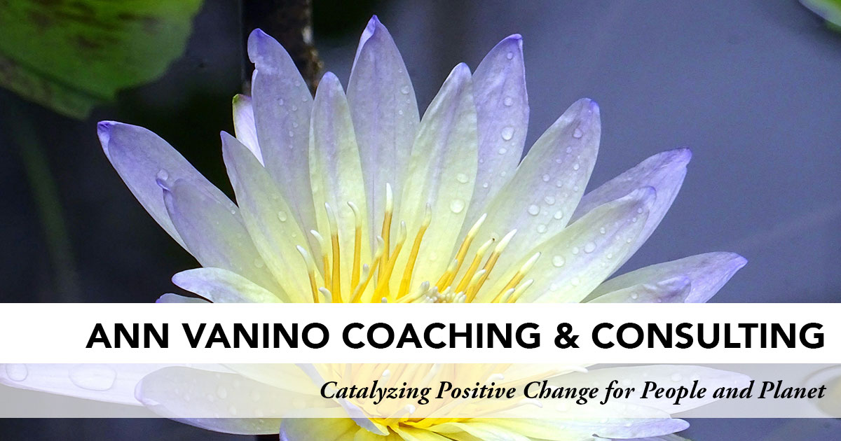 Home - Ann Vanino Coaching